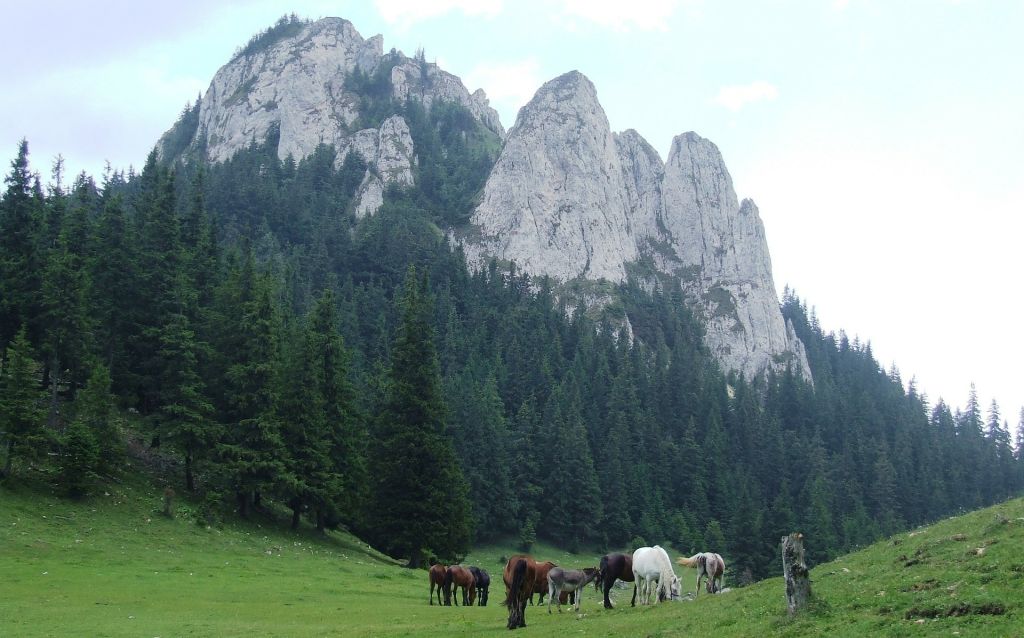 Nationaal Park Aggtelek Hongarije