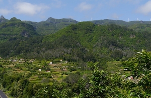 gaula-madeira - Ecotoerisme Europa