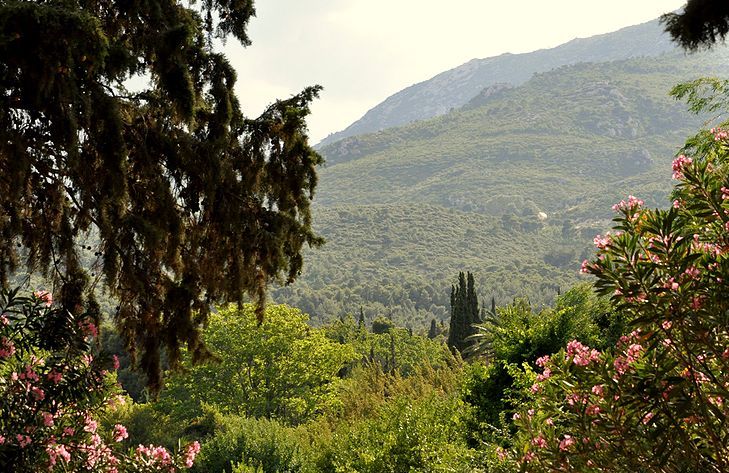 Nationaal Park Parnitha Griekenland