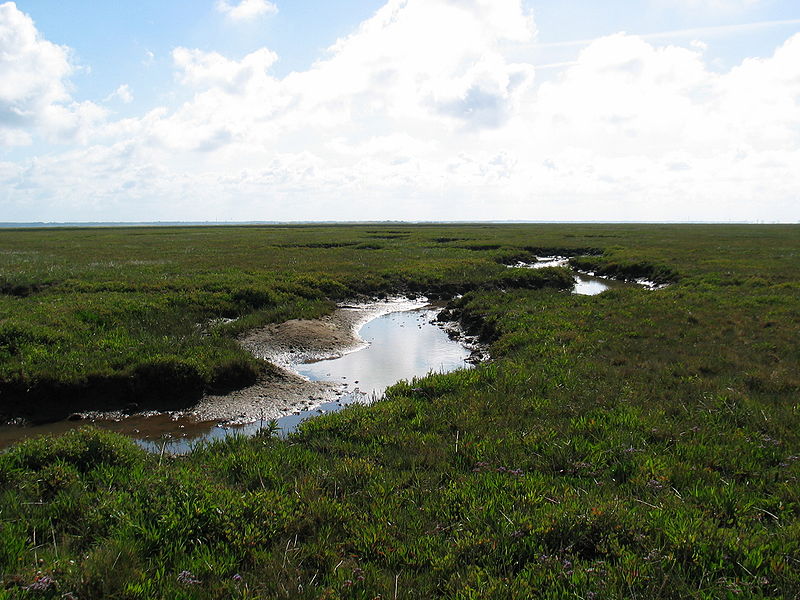 Nationaal Park Vadehavet Denemarken