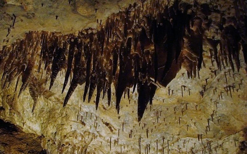 Grotten van Han België