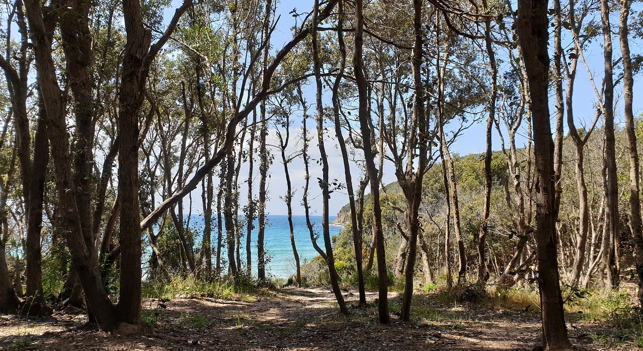 Padule en Scarlino Italië