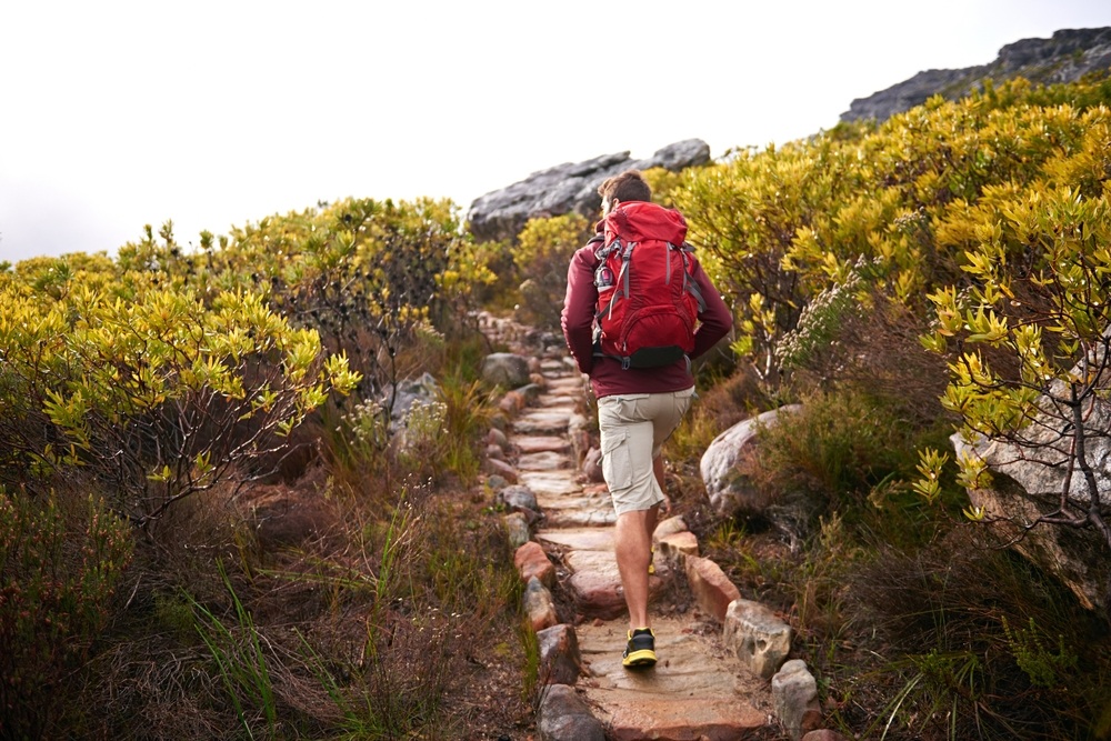 Gear die je meeneemt tijdens een hike - Ecotoerisme Europa